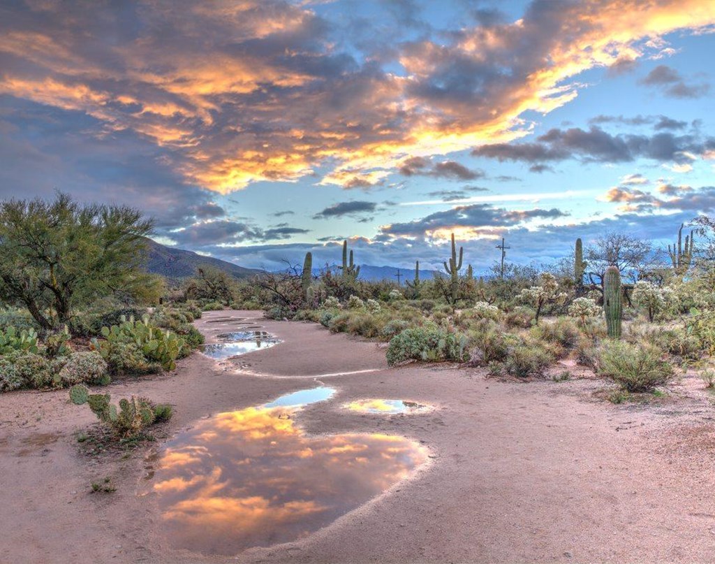 Tucson Airport (TUS) | Guide to Tucson International Airport